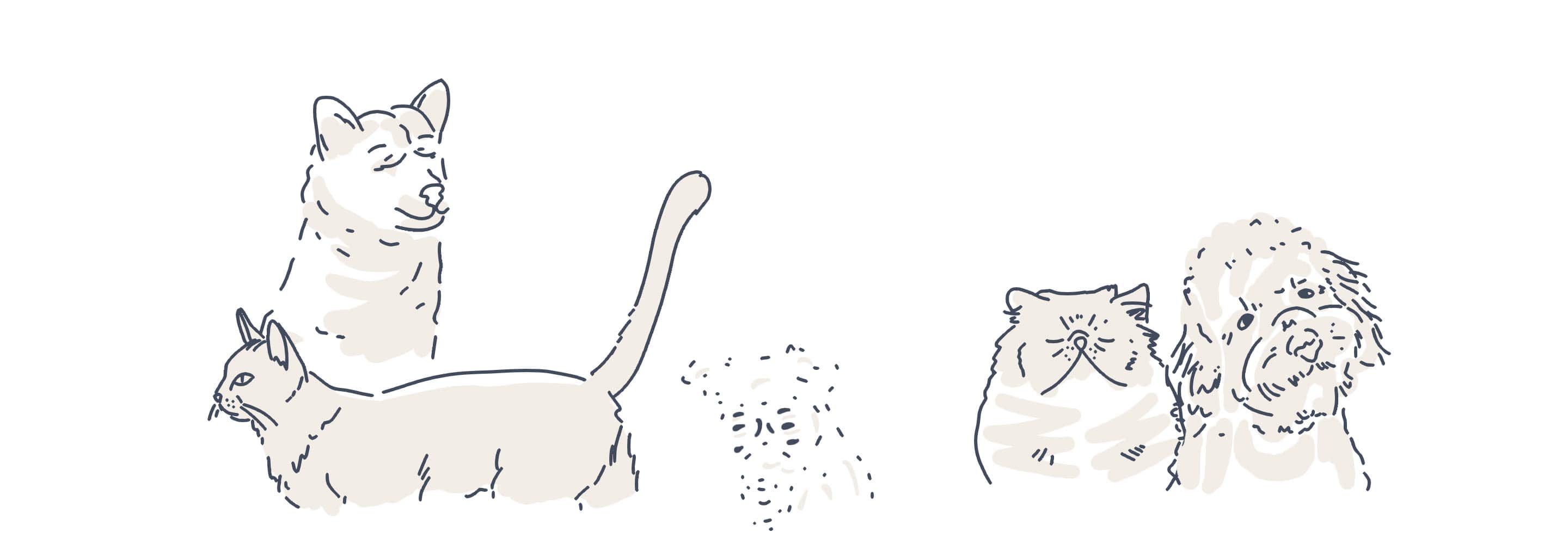 Kindred Pet Care - St. Charles, Illinois - Kindred Pet Care